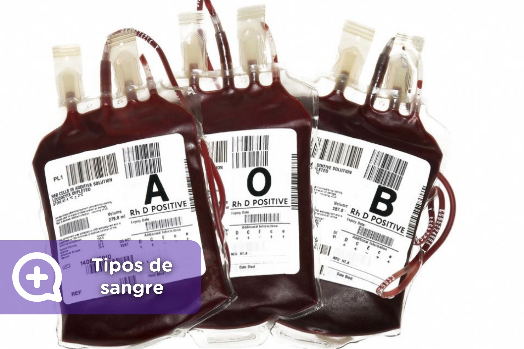 La sangre, sus tipos y todo lo que debes saber antes de donar - mediQuo