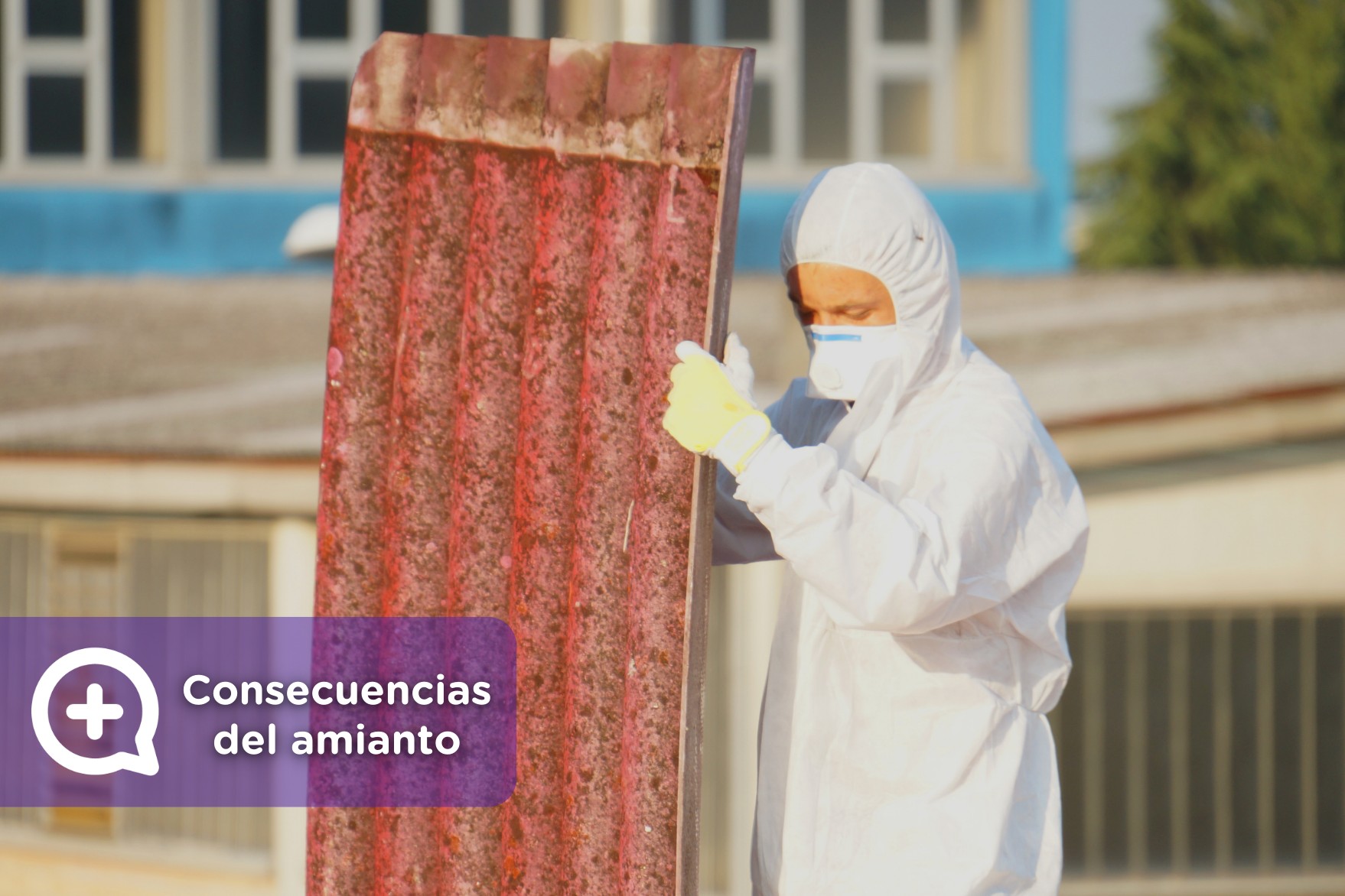 ¿Qué es el amianto y qué consecuencias tiene? - mediQuo
