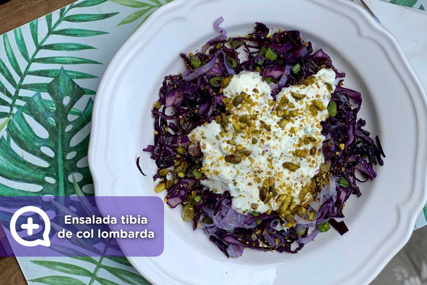 Receta: ensalada tibia de col lombarda y ajos tiernos - mediQuo