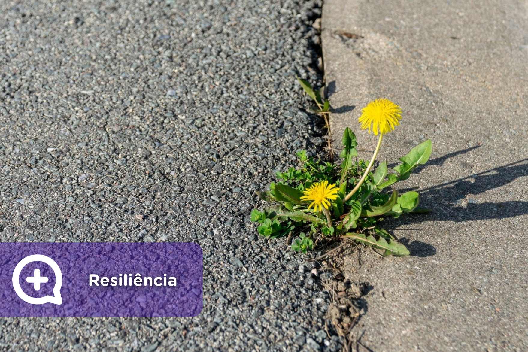 Resiliência: 8 habilidades de pessoas resilientes - mediQuo