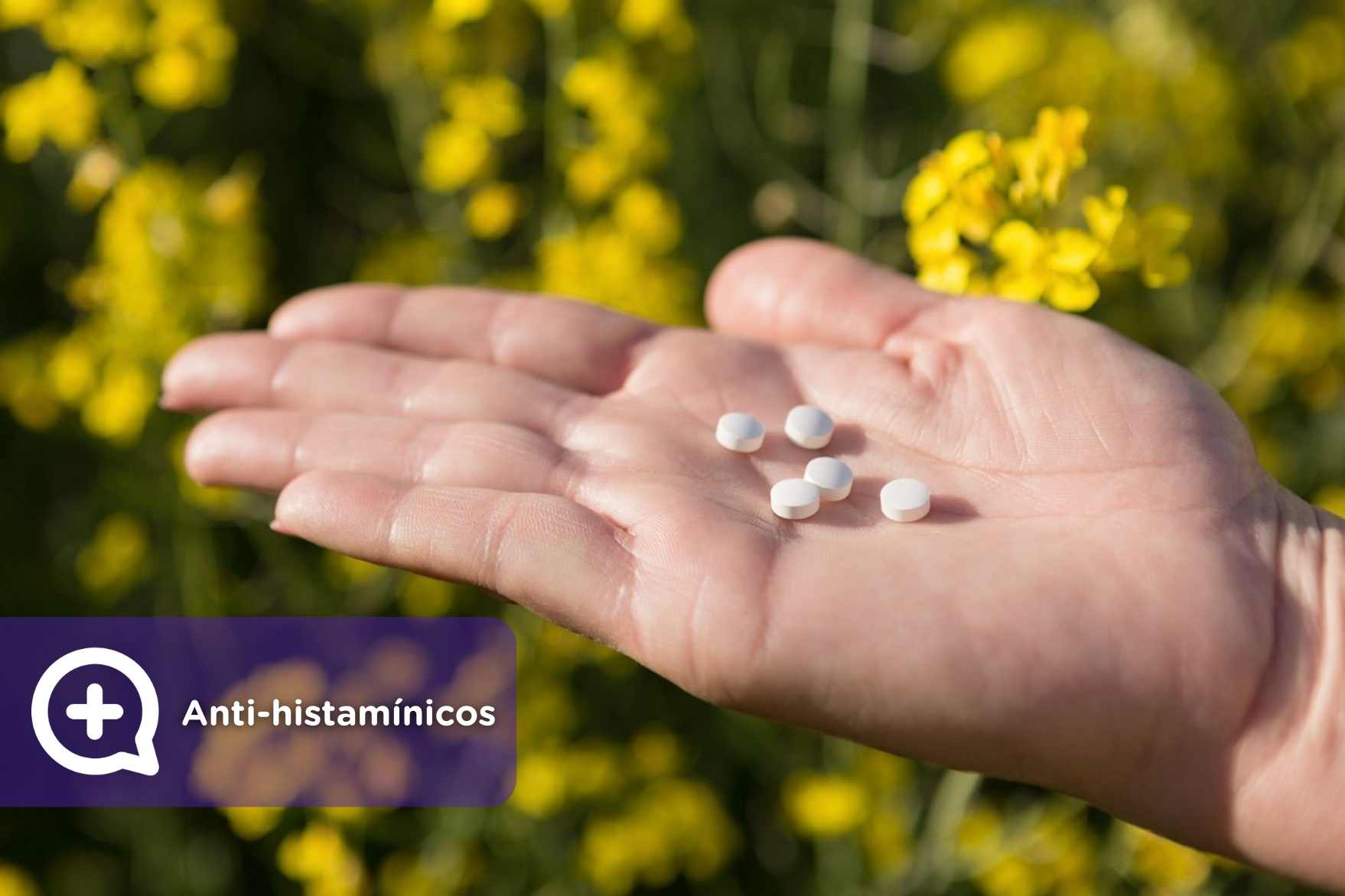 Anti-histamínicos: o que são, para que servem e quando tomá-los - mediQuo